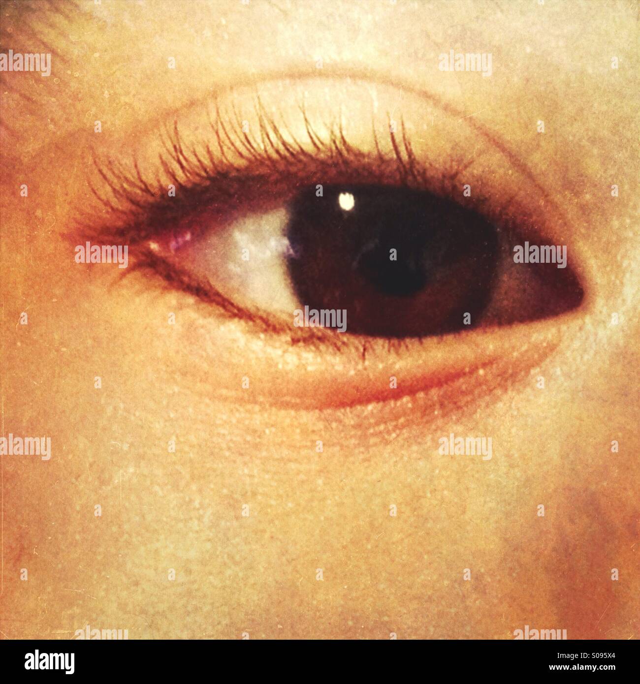 Female eye closeup hi-res stock photography and images - Alamy