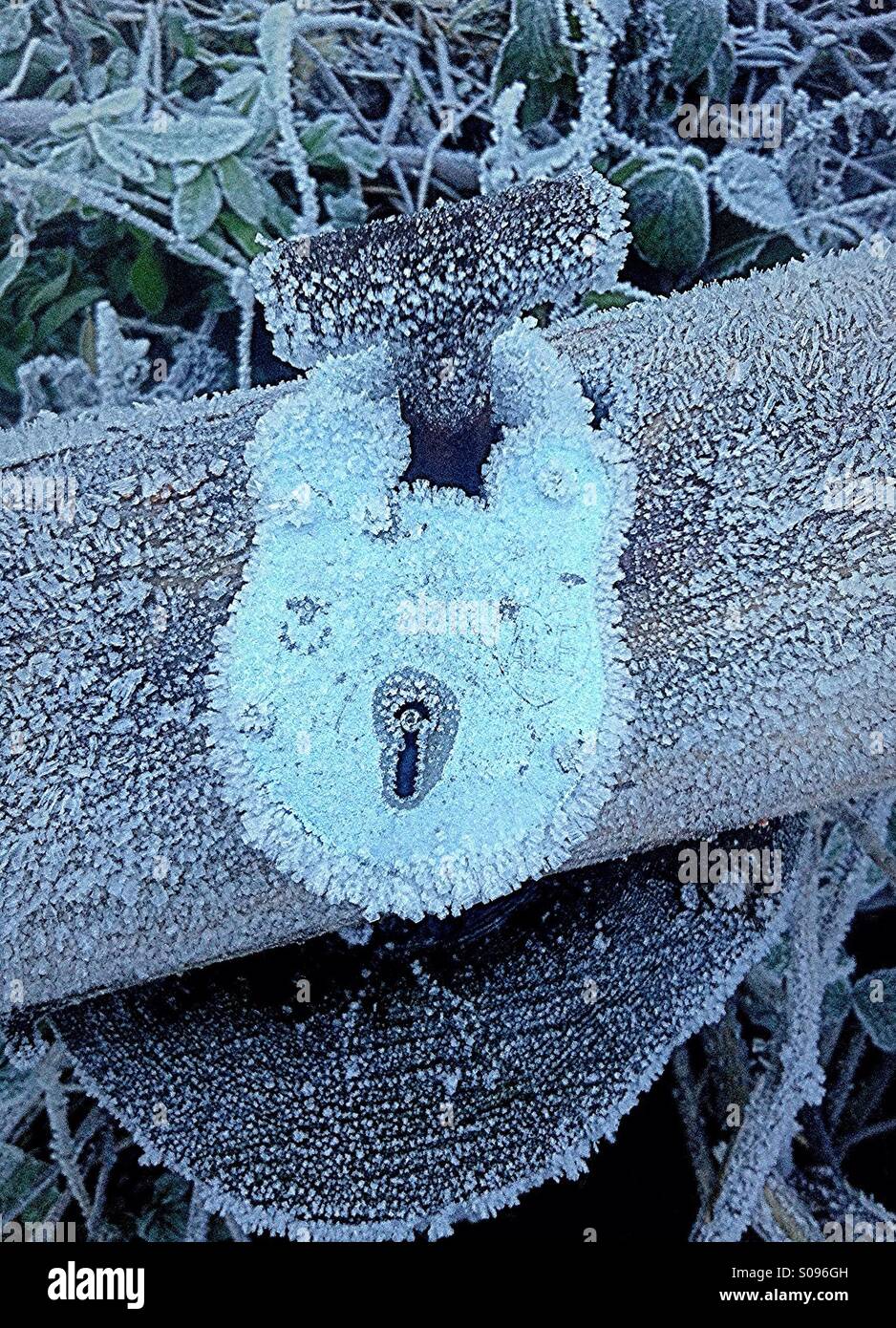 Frozen padlock hi-res stock photography and images - Alamy