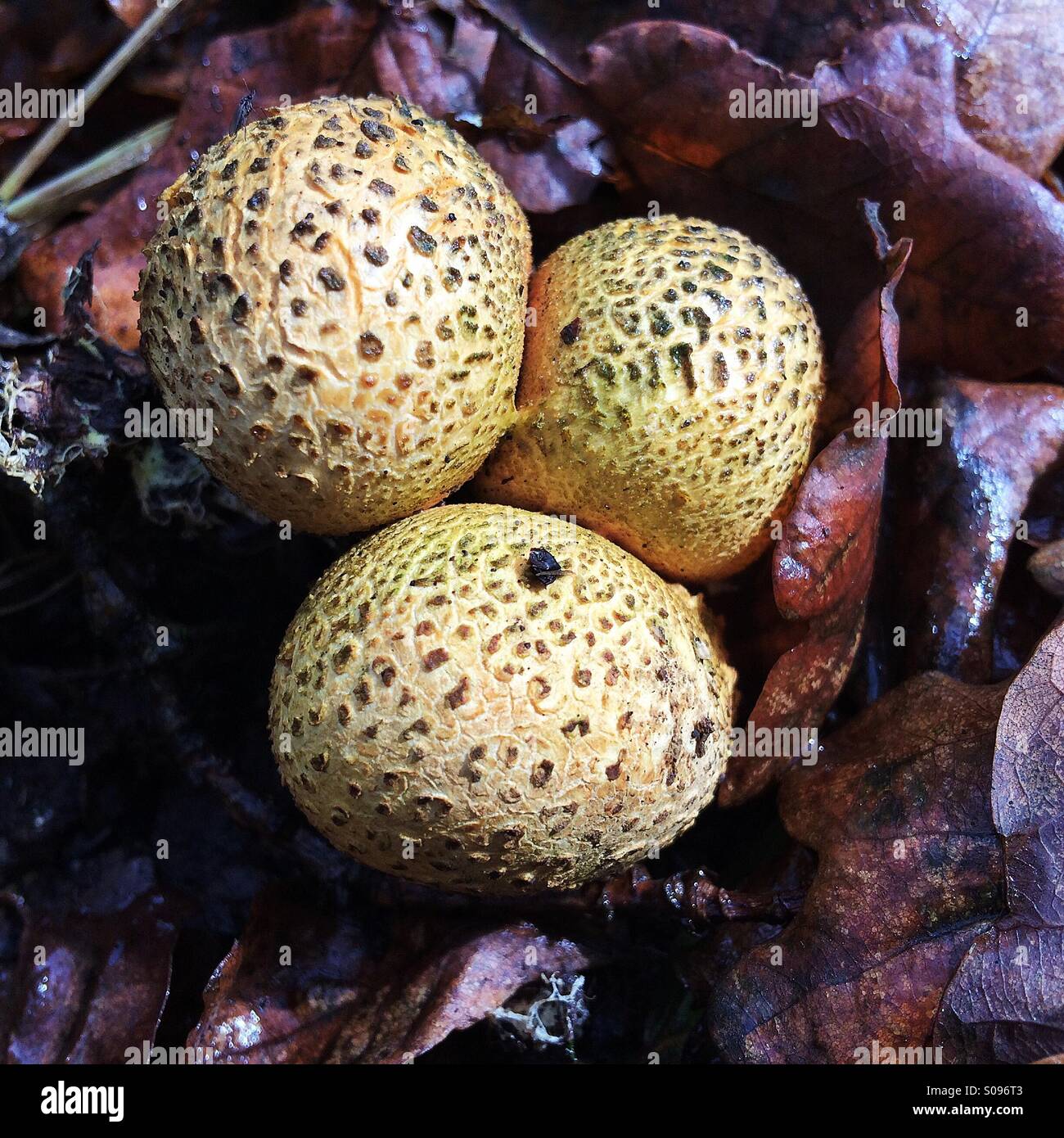 Triple earth balls Stock Photo - Alamy