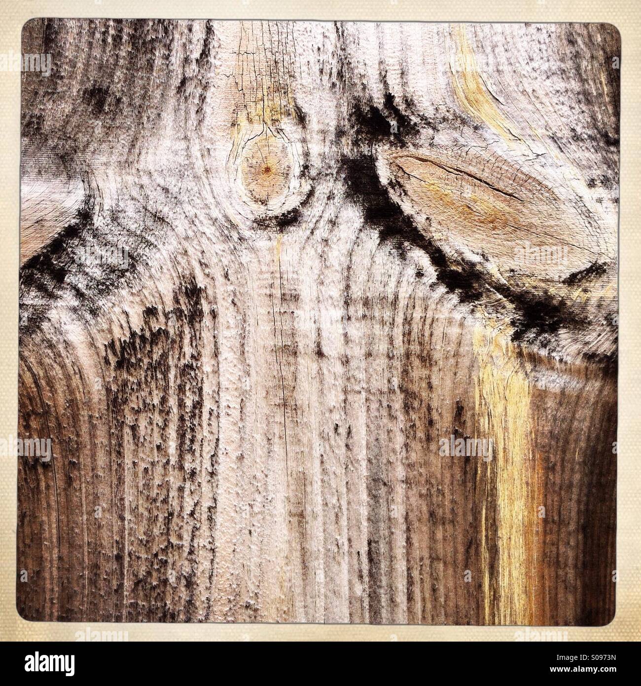 A detail of aged lumber Stock Photo - Alamy