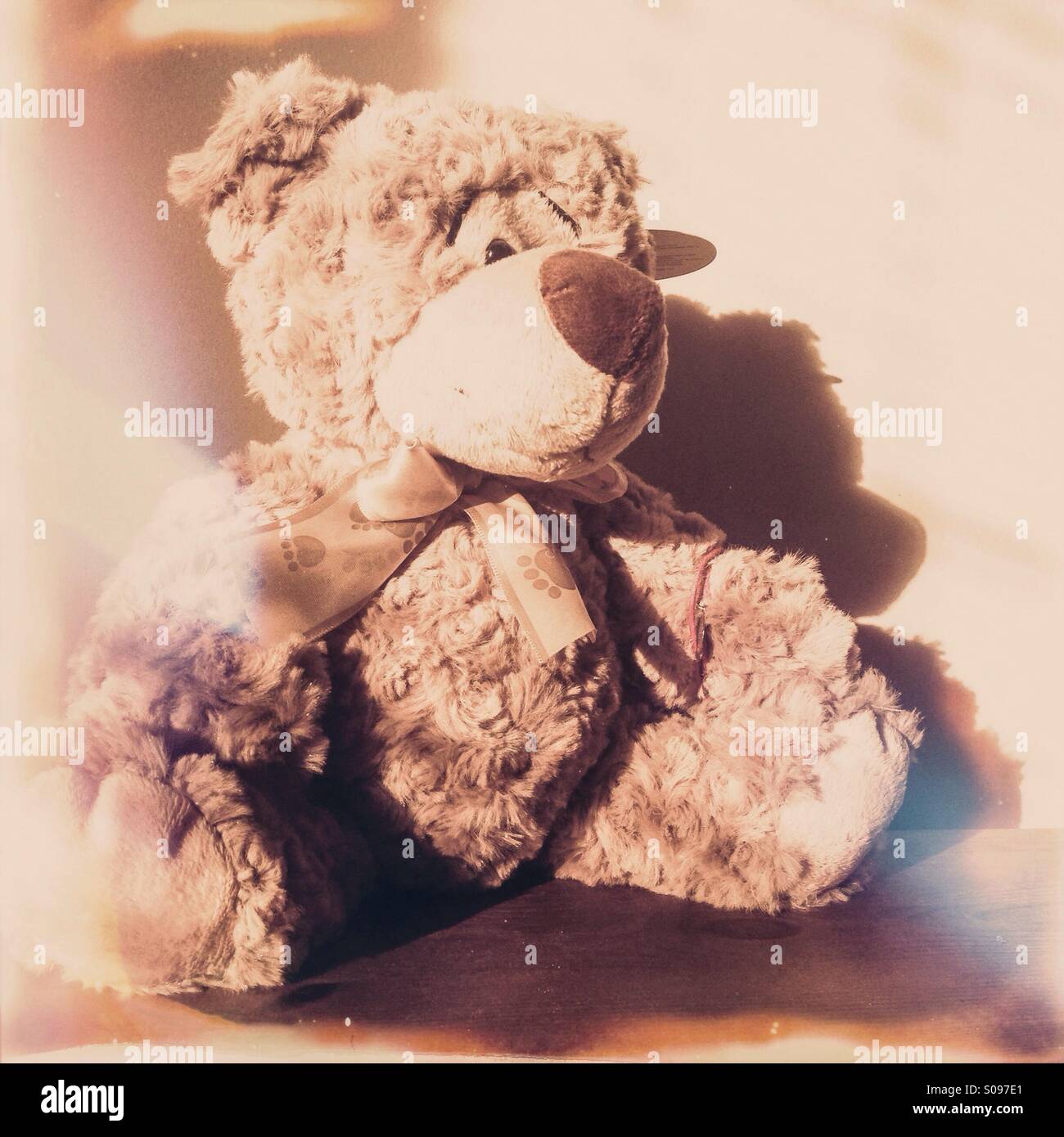 Vintage style teddy in the sunshine Stock Photo - Alamy