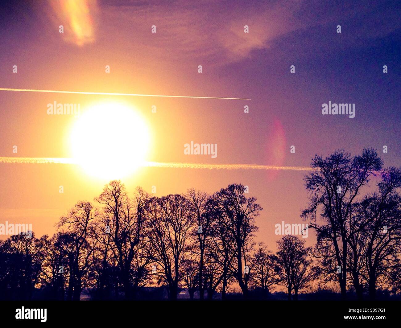 The sun setting over trees Stock Photo - Alamy