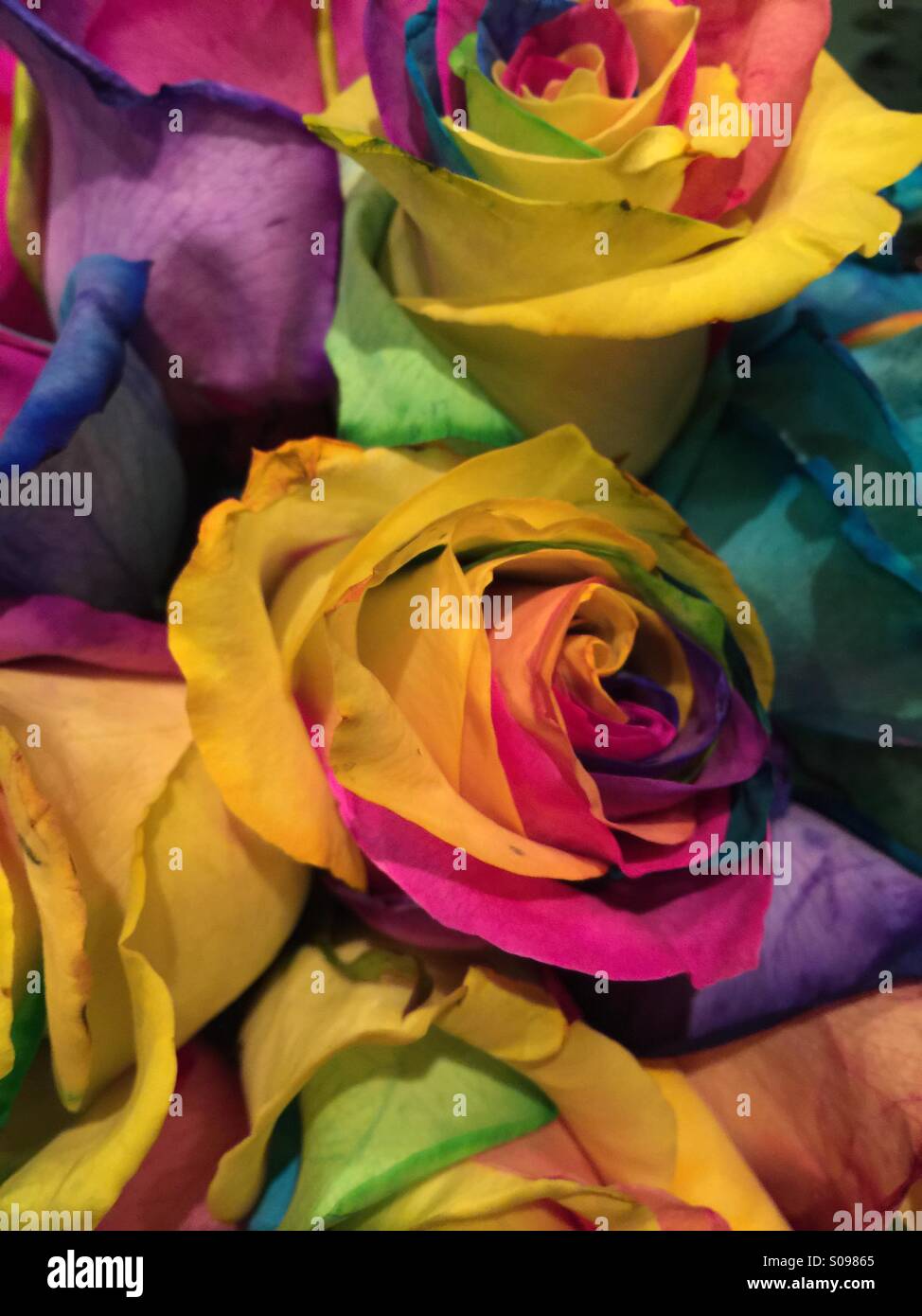 Party roses hi-res stock photography and images - Alamy