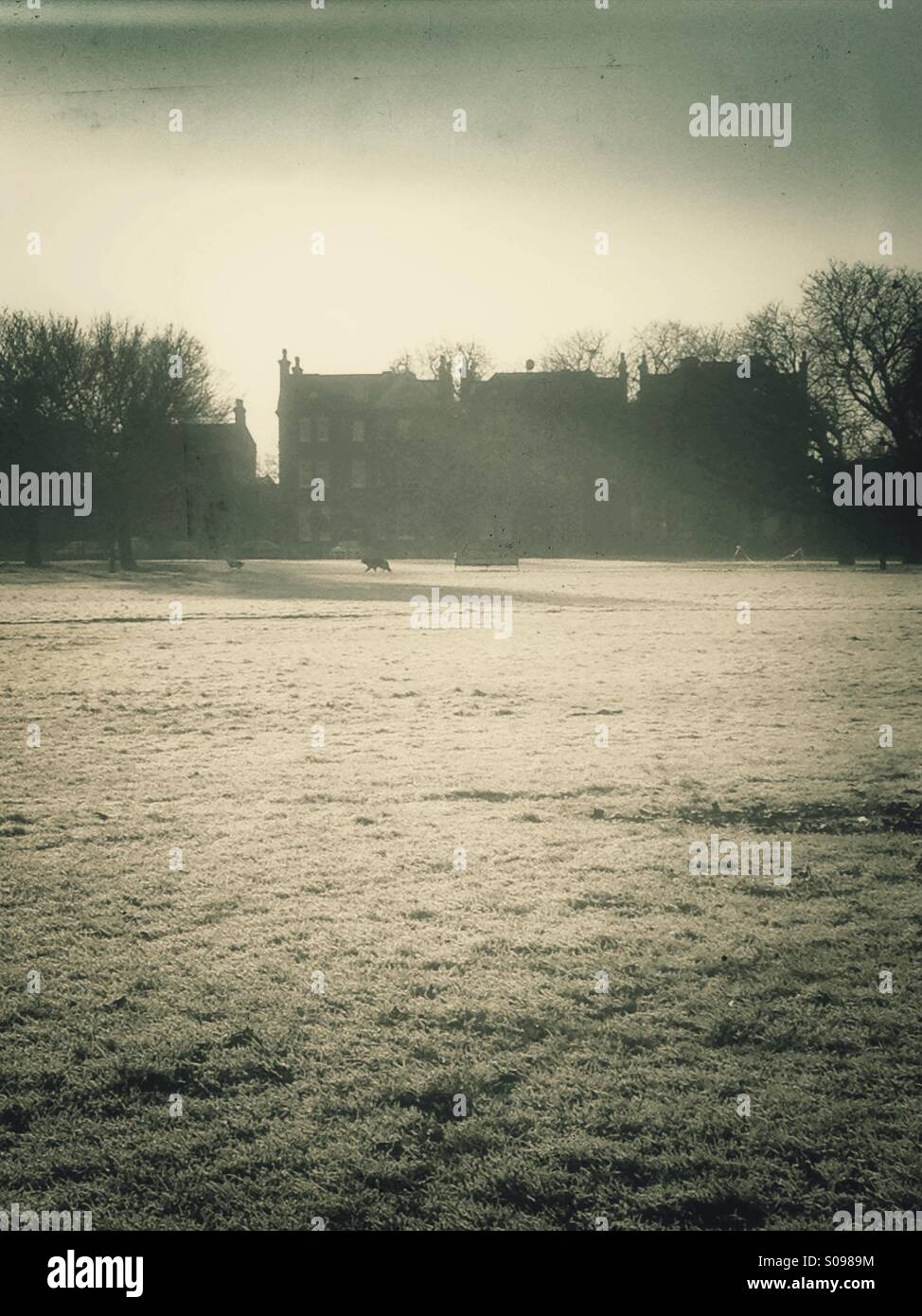 Clapham Park High Resolution Stock Photography and Images - Alamy