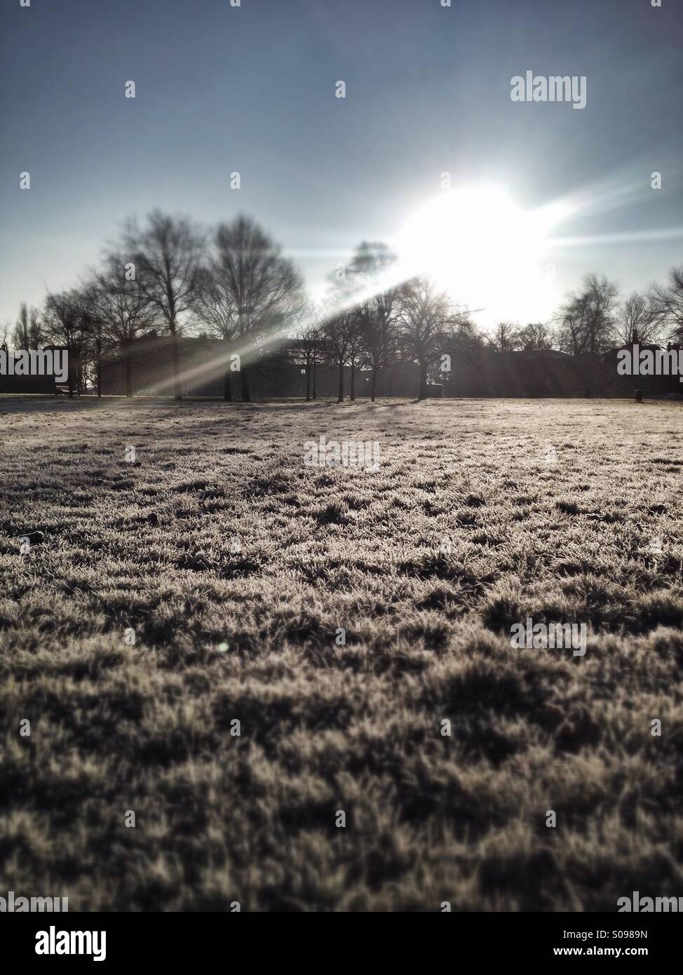 Sun light parks hi-res stock photography and images - Alamy