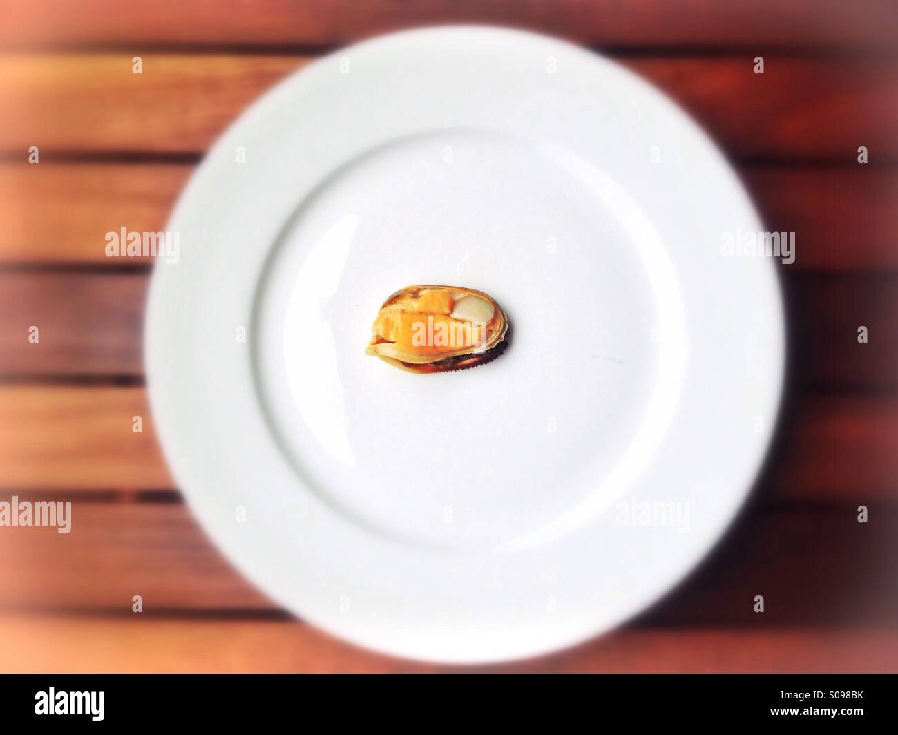 One mussel on a plate Stock Photo - Alamy