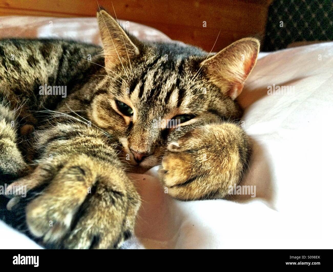 We woke up hi-res stock photography and images - Alamy