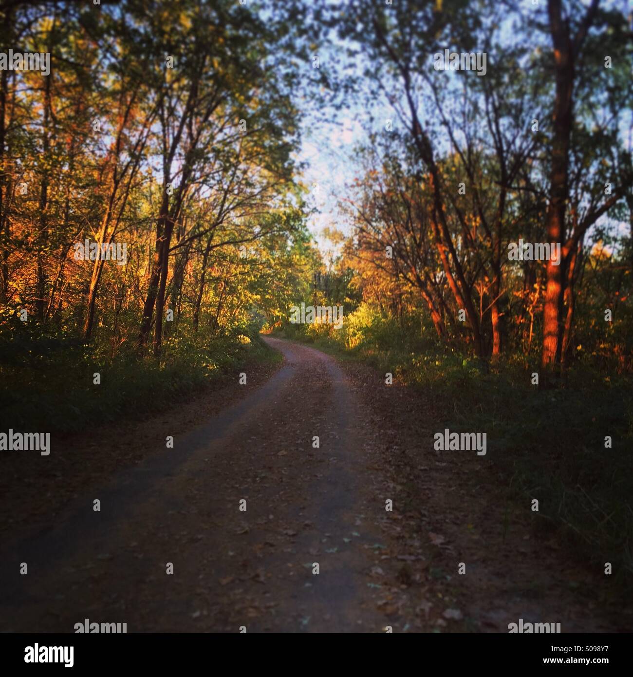 A fall walk in Illinois Stock Photo - Alamy
