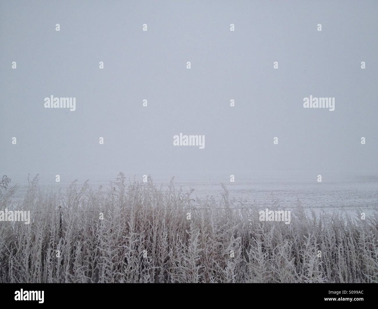 Kansas and colorado hi-res stock photography and images - Alamy