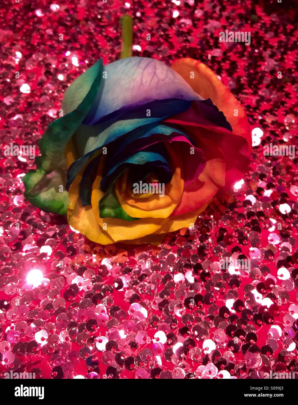 Multi color rose with sequin background Stock Photo - Alamy