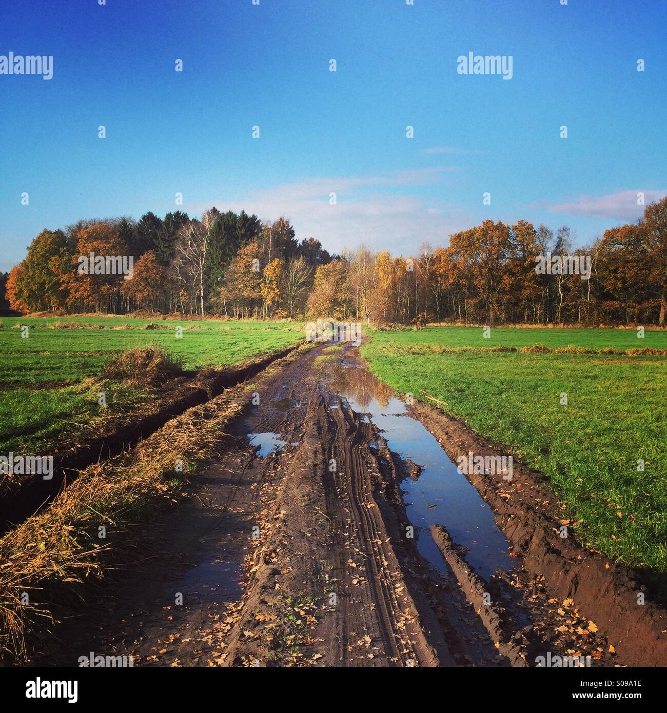 Feldweg wald hi-res stock photography and images - Alamy