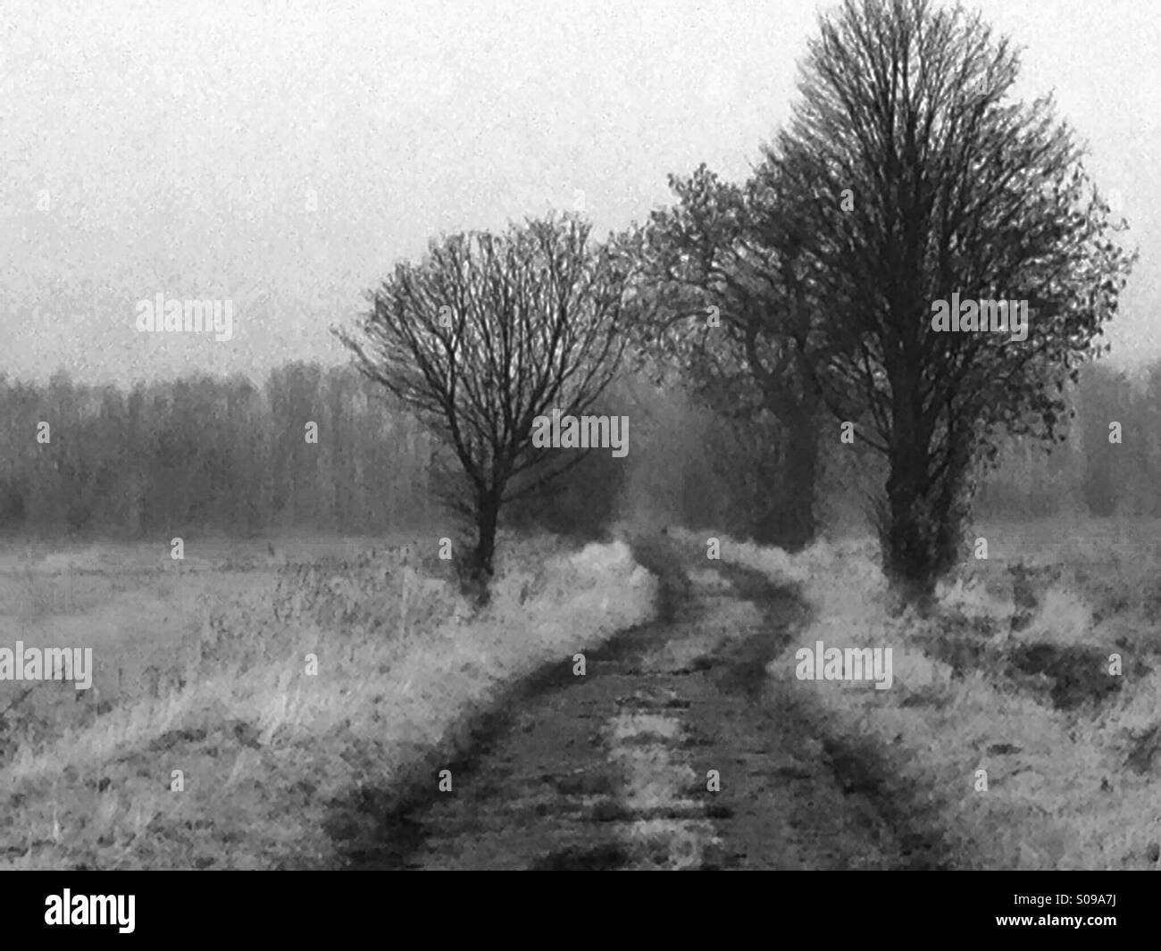 Farm track winter hi-res stock photography and images - Alamy