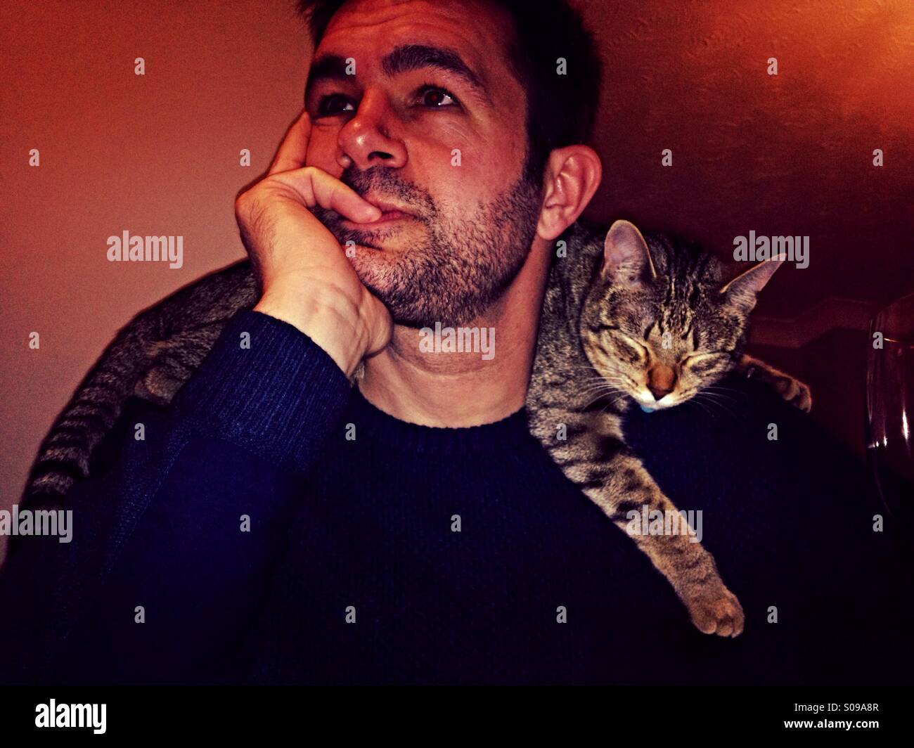 Cat collar hi-res stock photography and images - Alamy