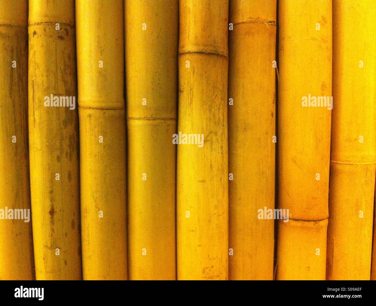 Gelow hi-res stock photography and images - Alamy