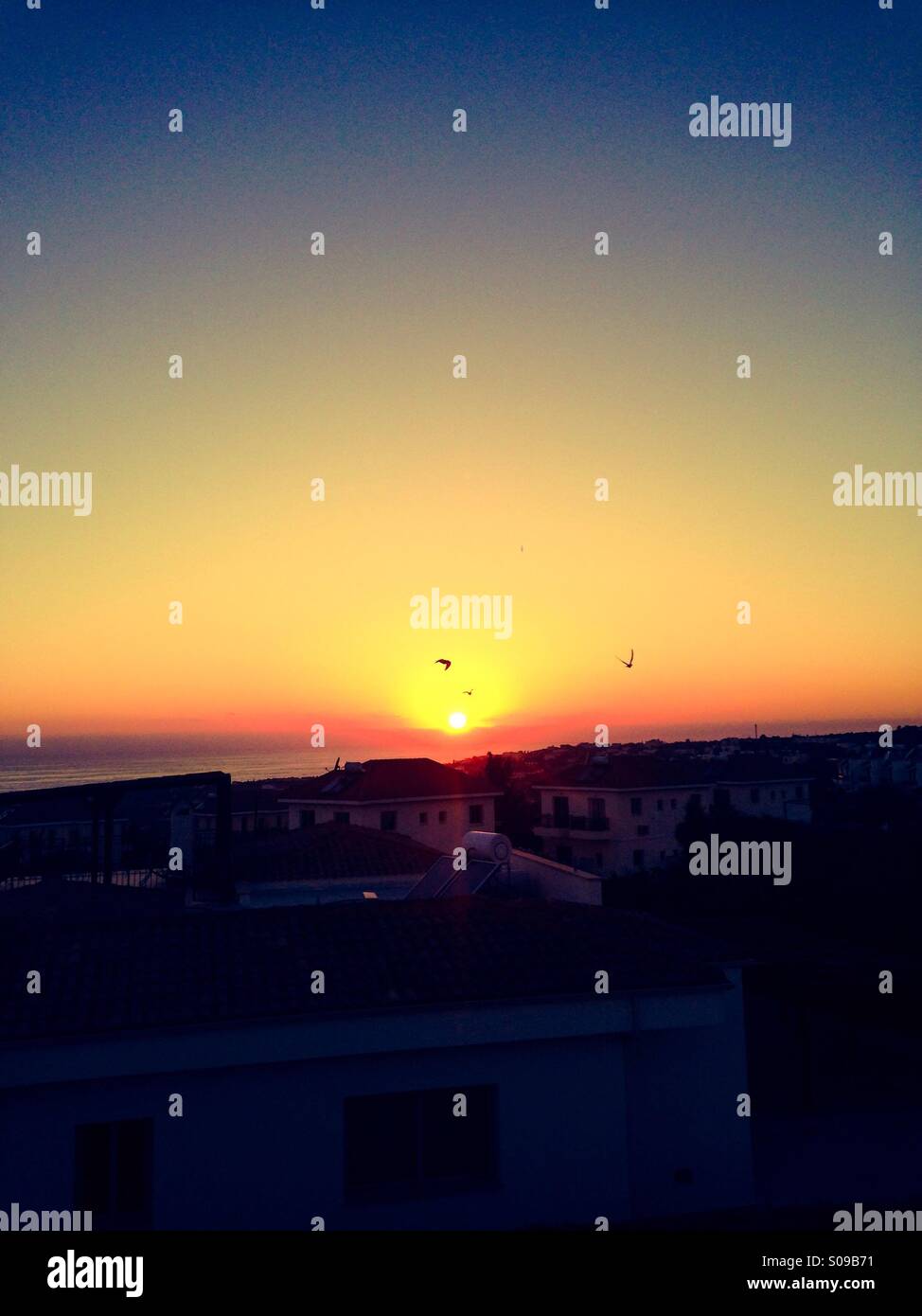 Birds flying at sunset hi-res stock photography and images - Alamy