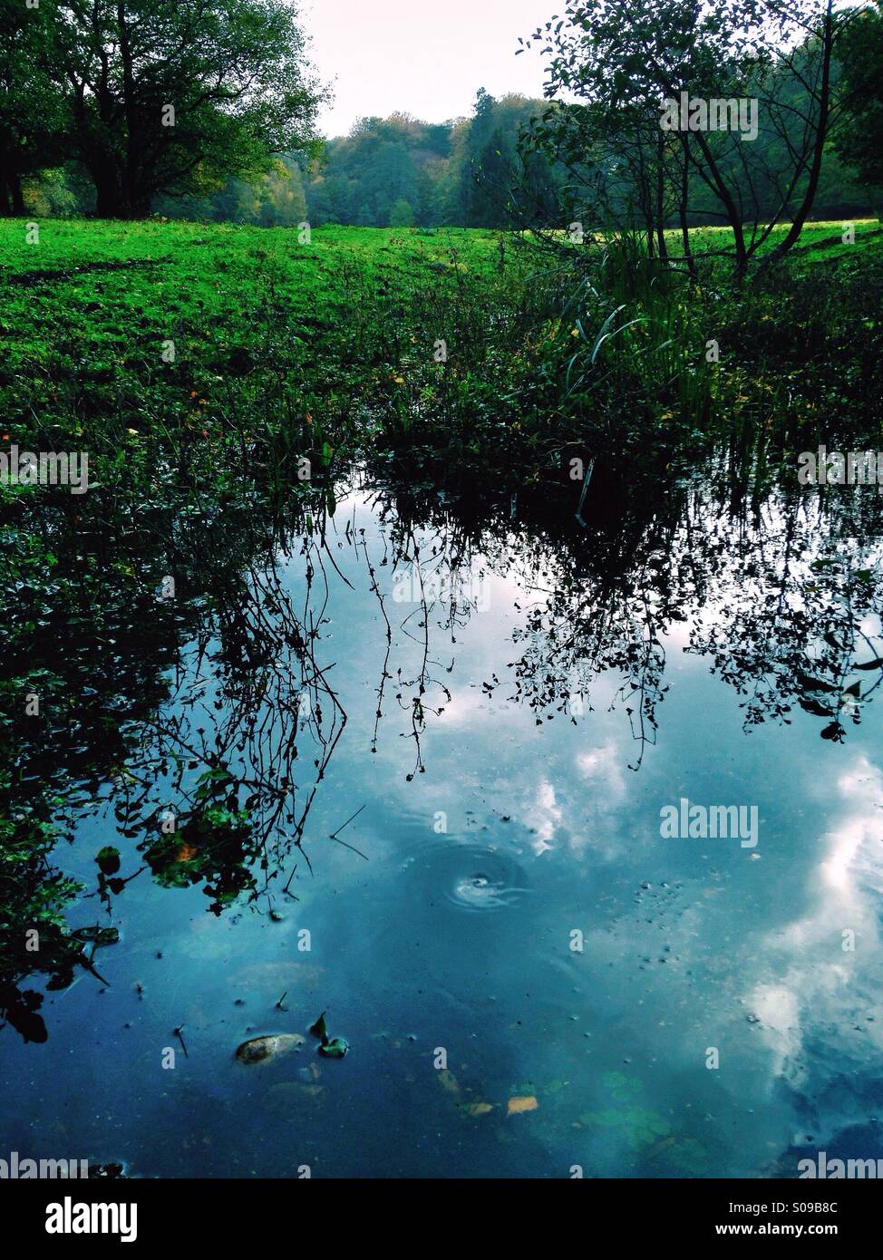 Gribskov forest hi-res stock photography and images - Alamy