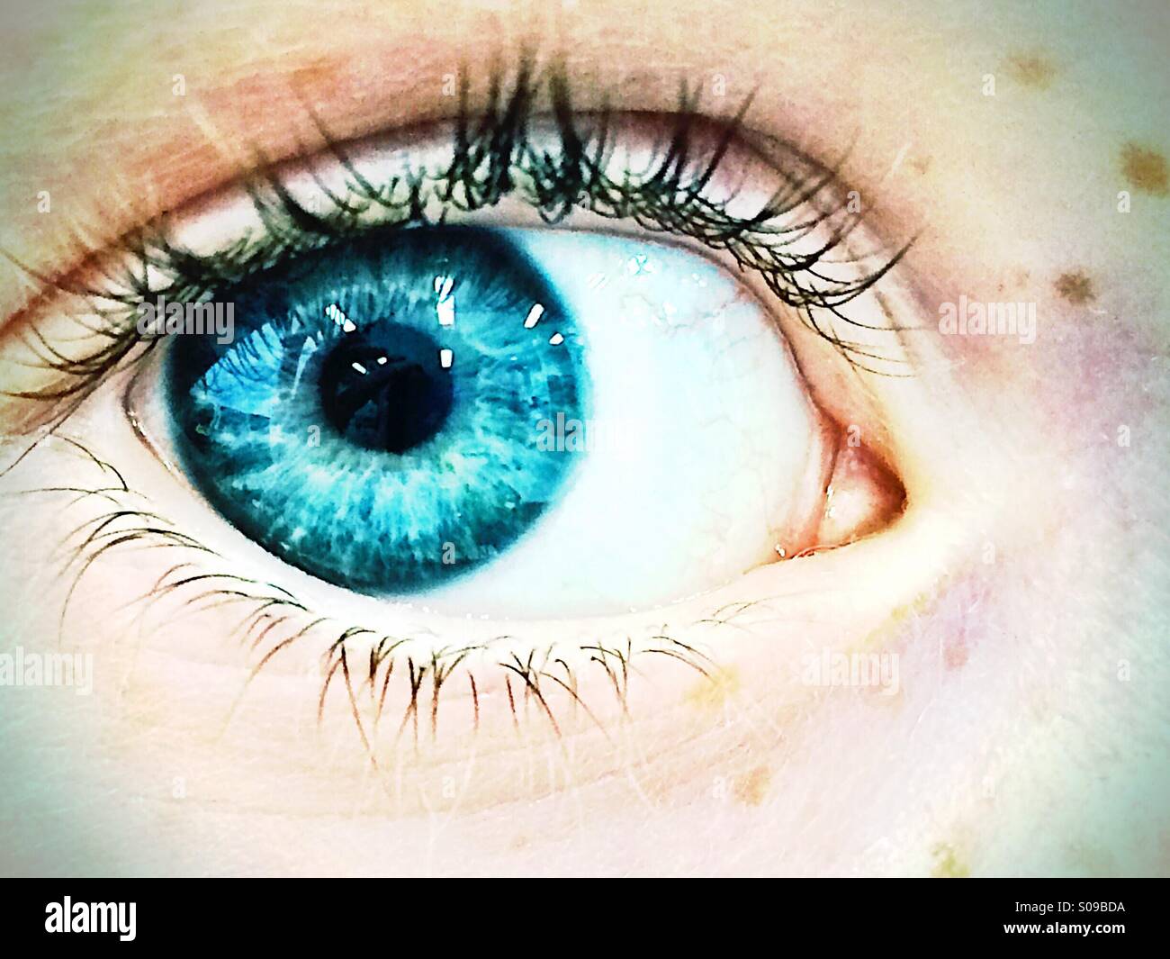 Blue eyelashes hi-res stock photography and images - Alamy