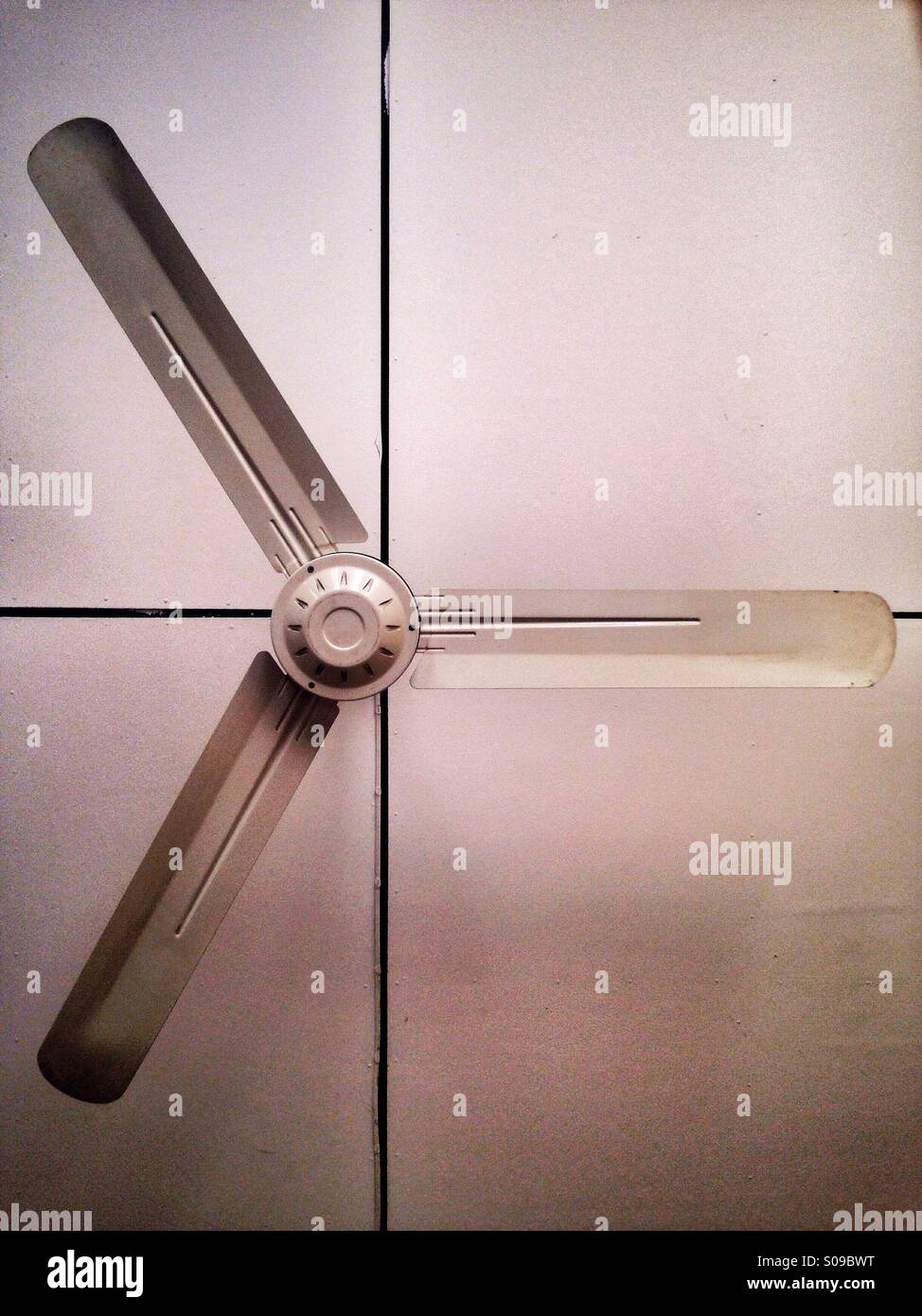 Symmetry ceiling hi-res stock photography and images - Alamy