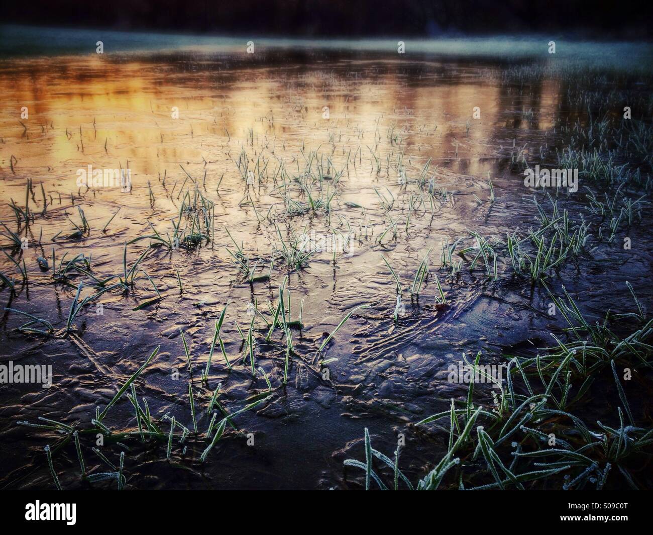 Frozen puddle at sunrise Stock Photo - Alamy