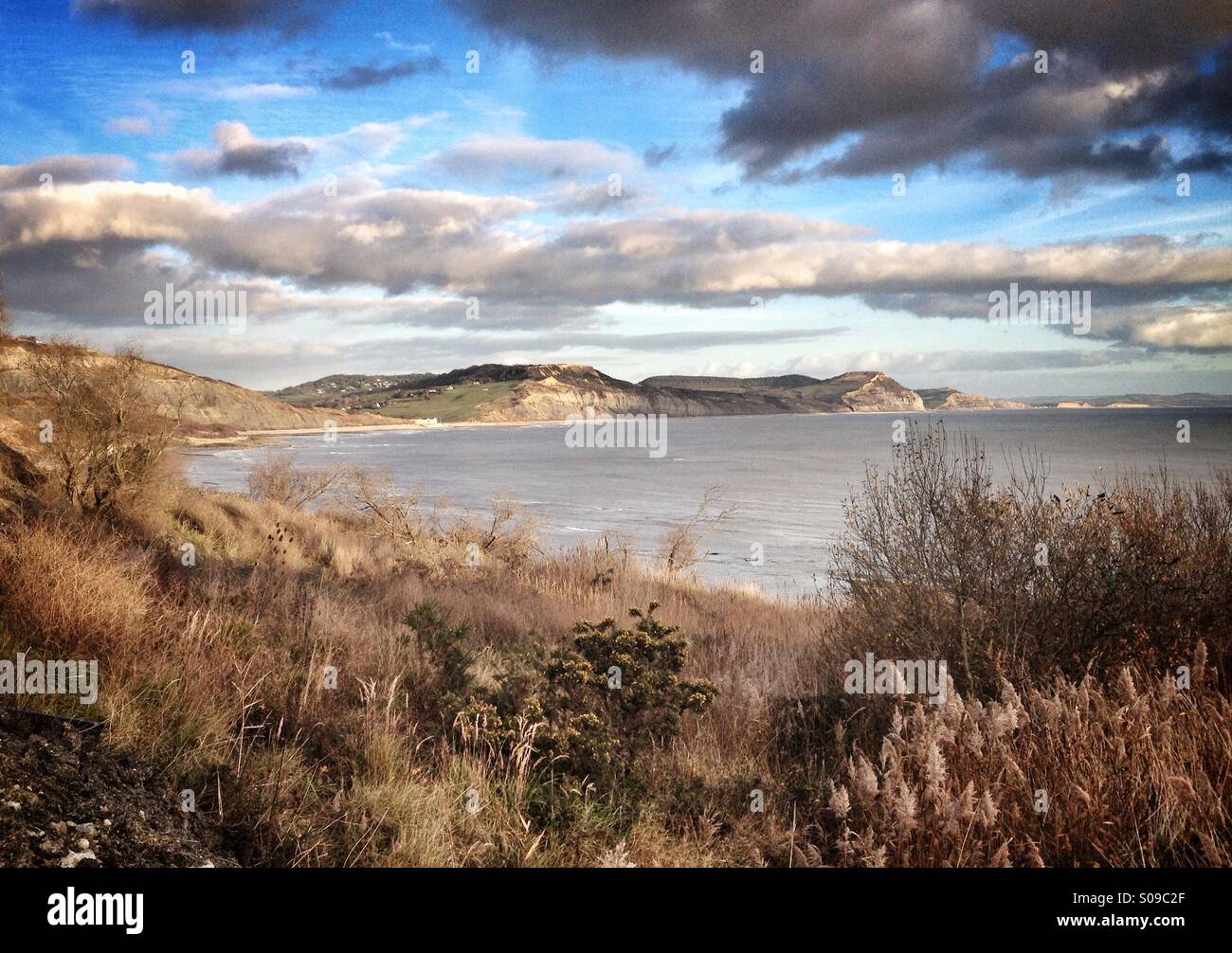 Lyme regis cliffs hi-res stock photography and images - Alamy