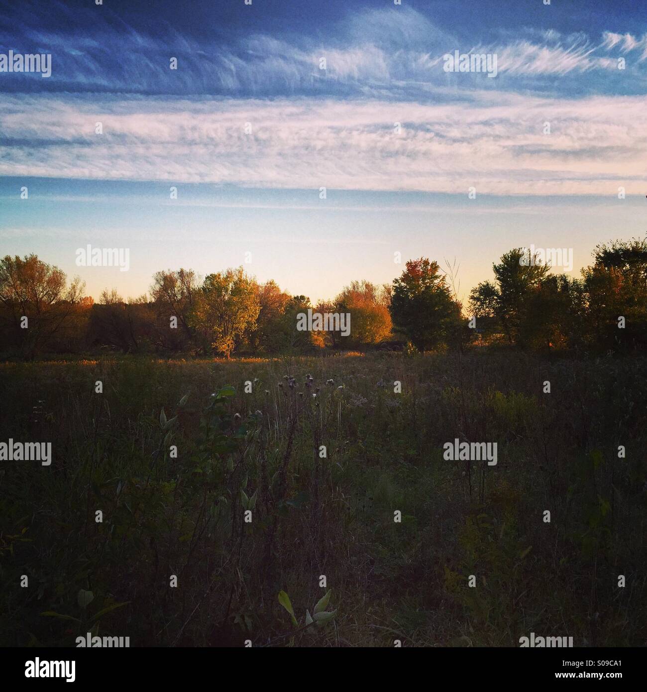 Illinois prairie grass hi-res stock photography and images - Alamy