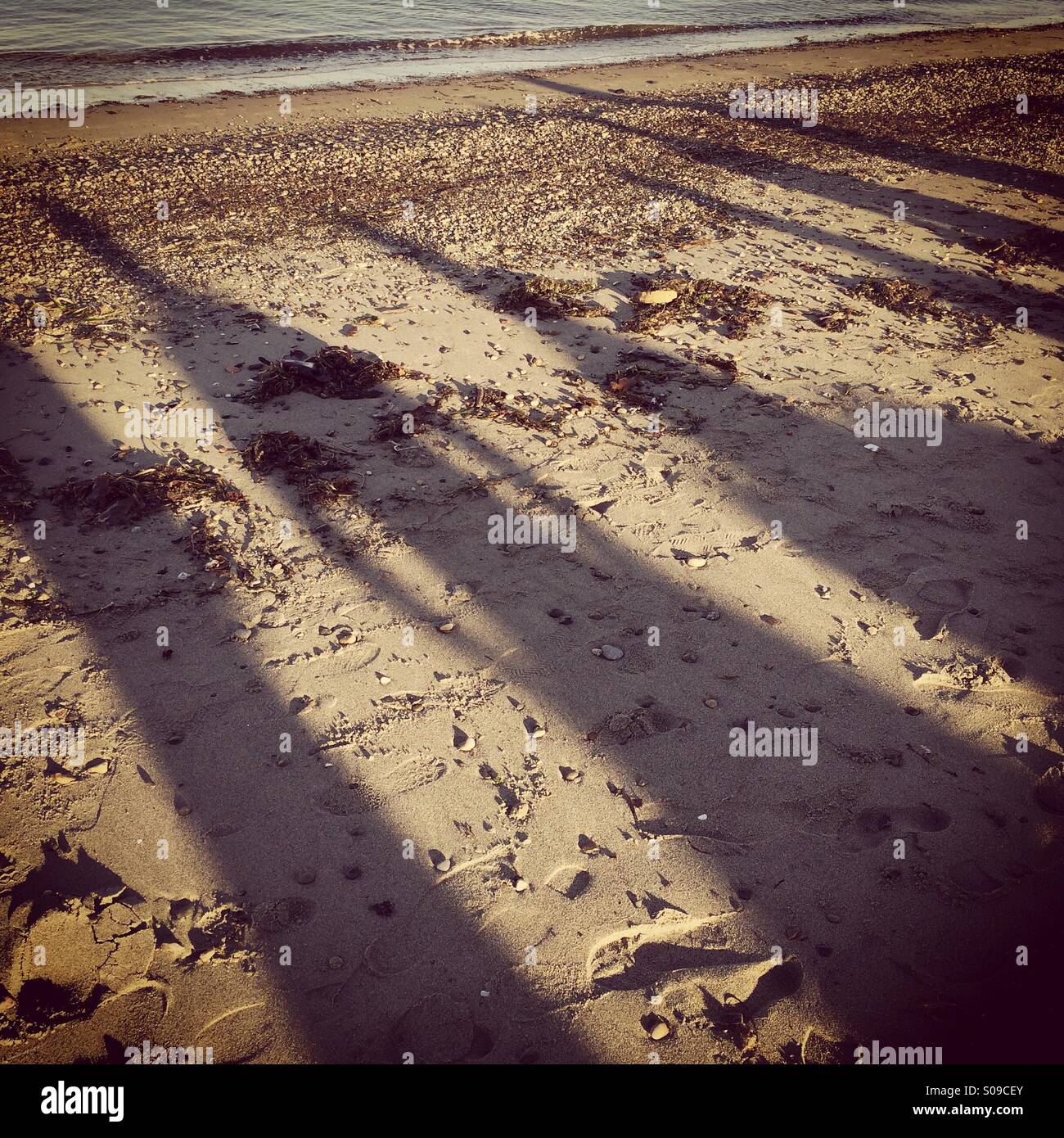 Human shadows on the beach, Seattle, Washington Stock Photo - Alamy