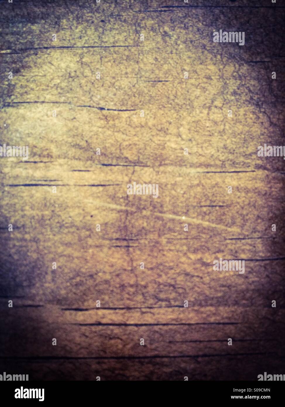 Maple wood texture hi-res stock photography and images - Alamy