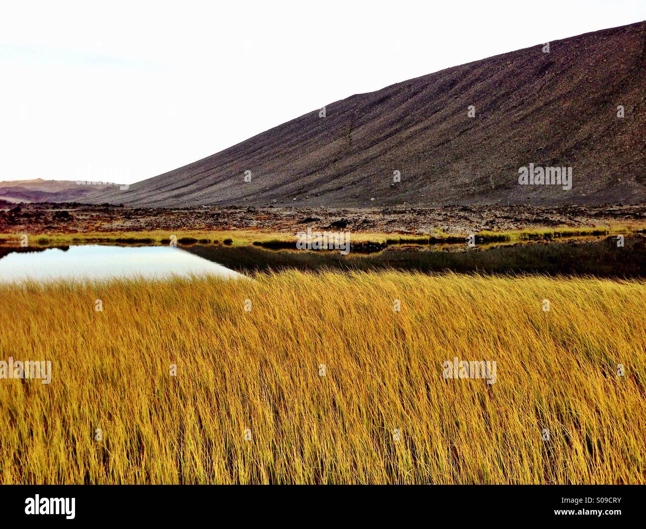 Profile of the Hverfjall tephra cone near Myvatn, Iceland Stock Photo ...