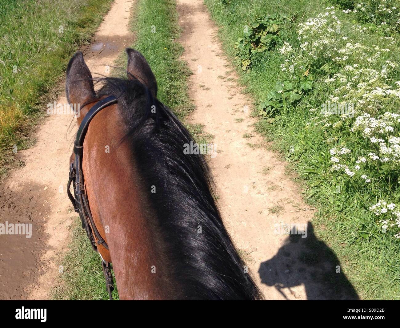 Riding in shadow hi-res stock photography and images - Alamy