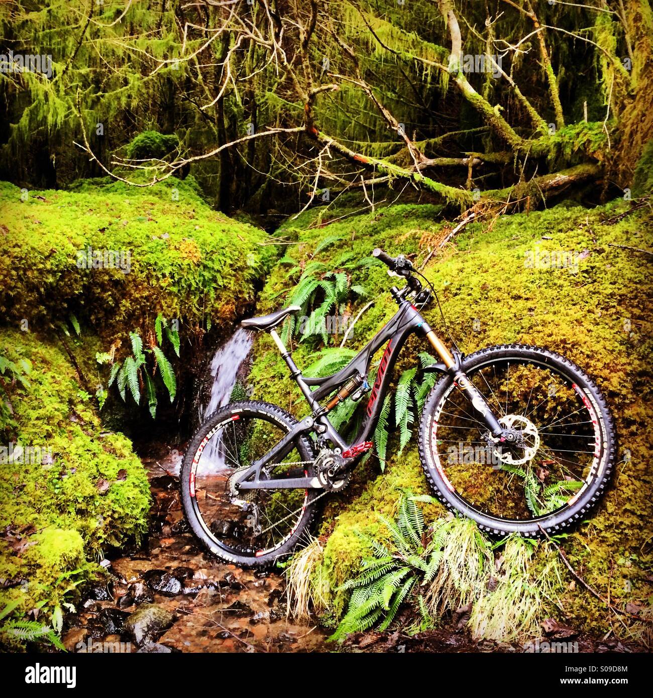 Woodland bike ride hi-res stock photography and images - Alamy
