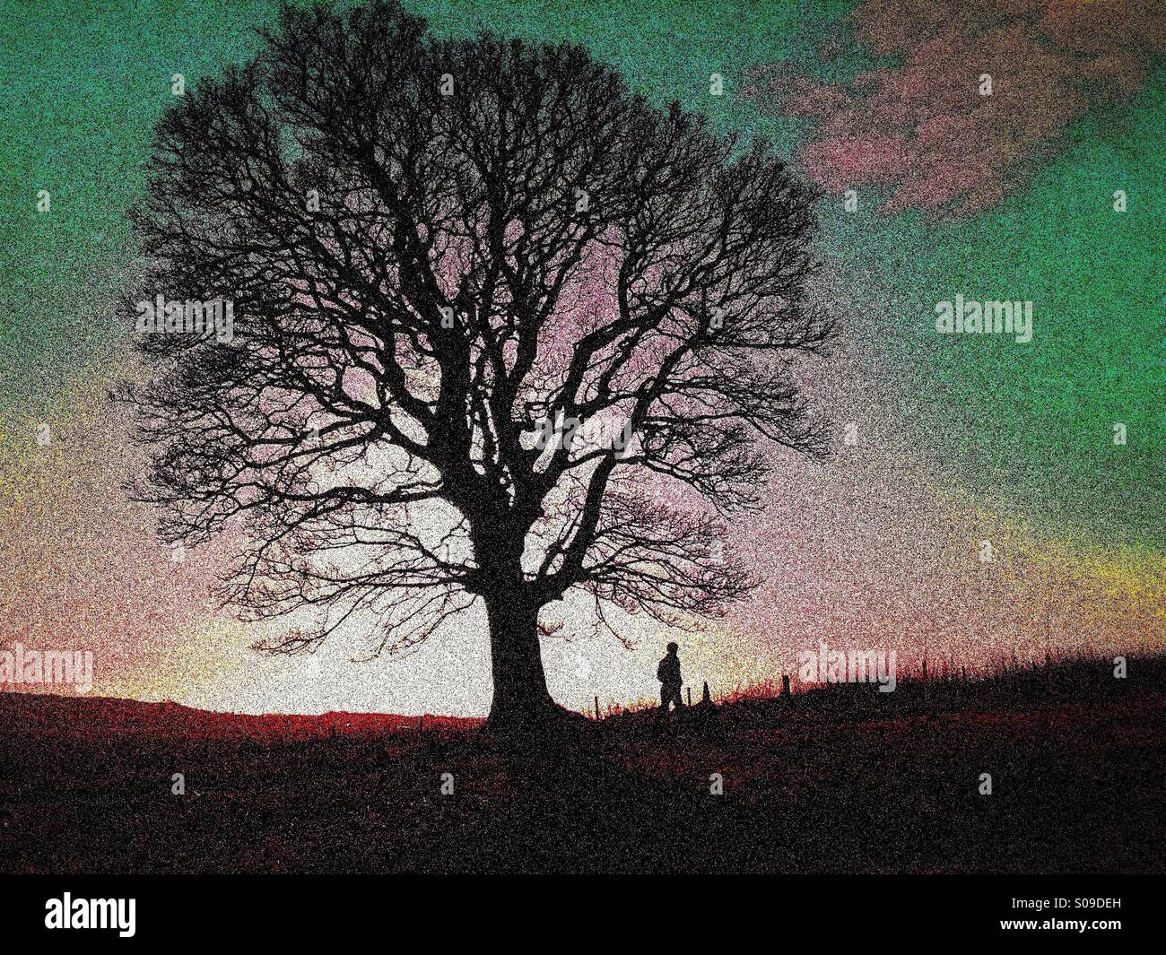 Walks beside woman hi-res stock photography and images - Alamy