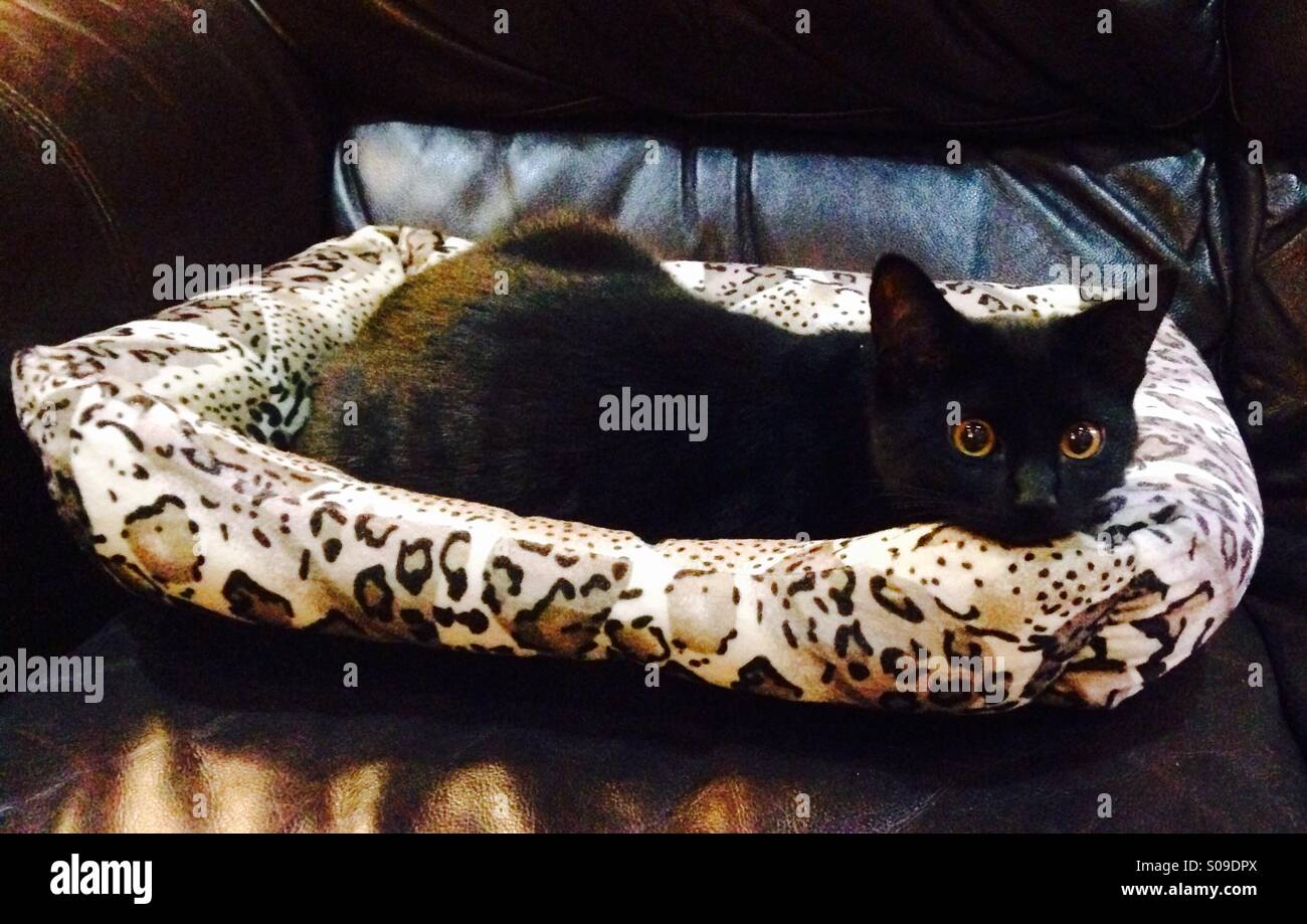 Print bed hi-res stock photography and images - Alamy