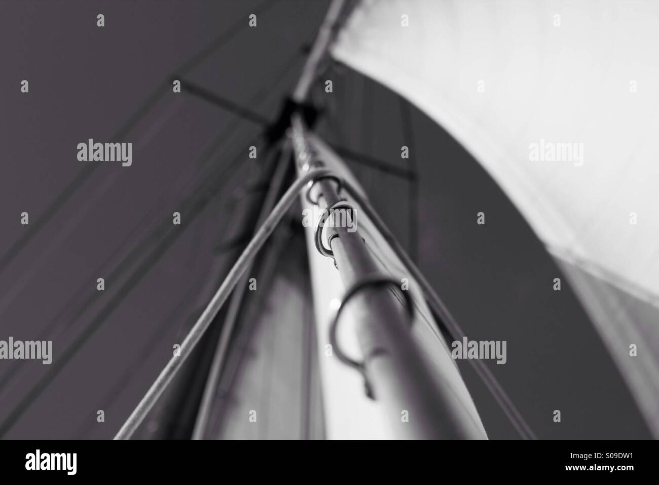 Sails full of wind Stock Photo - Alamy