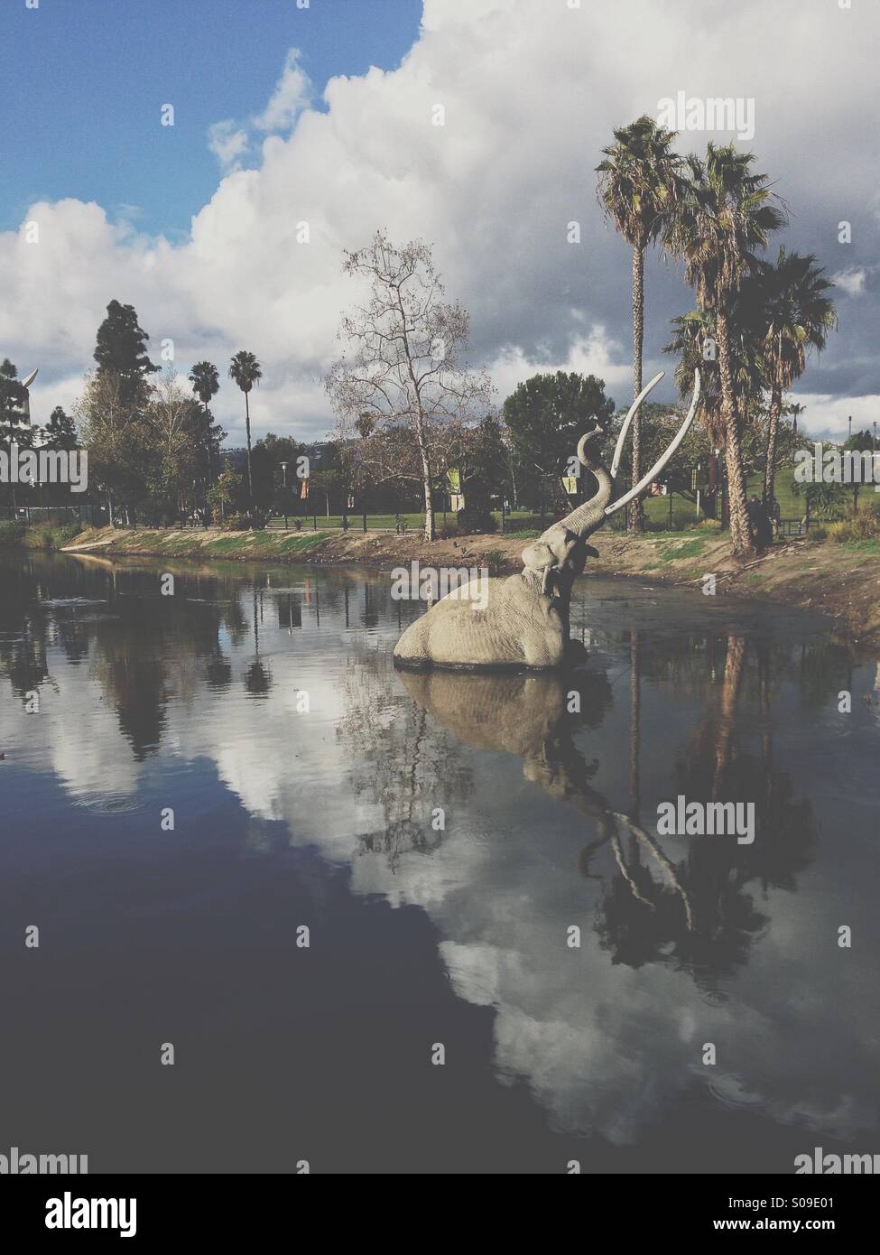 La brea tar pits hi-res stock photography and images - Alamy