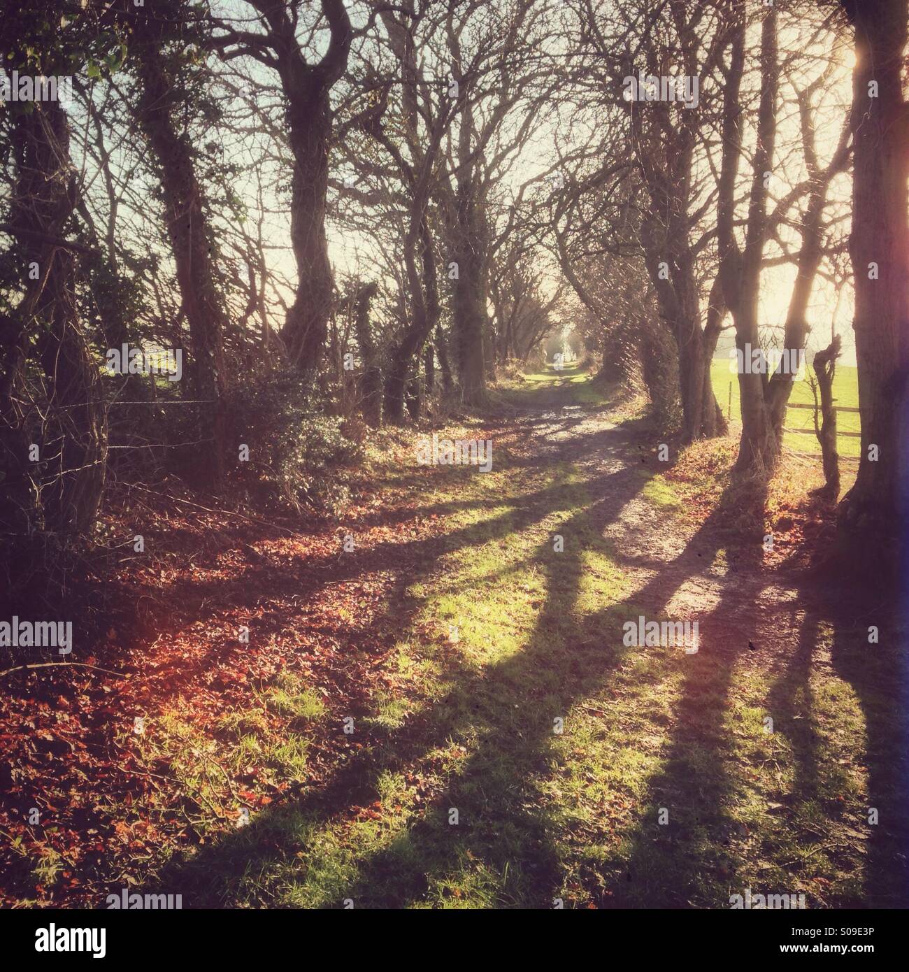 Sunshine & shadows Stock Photo - Alamy