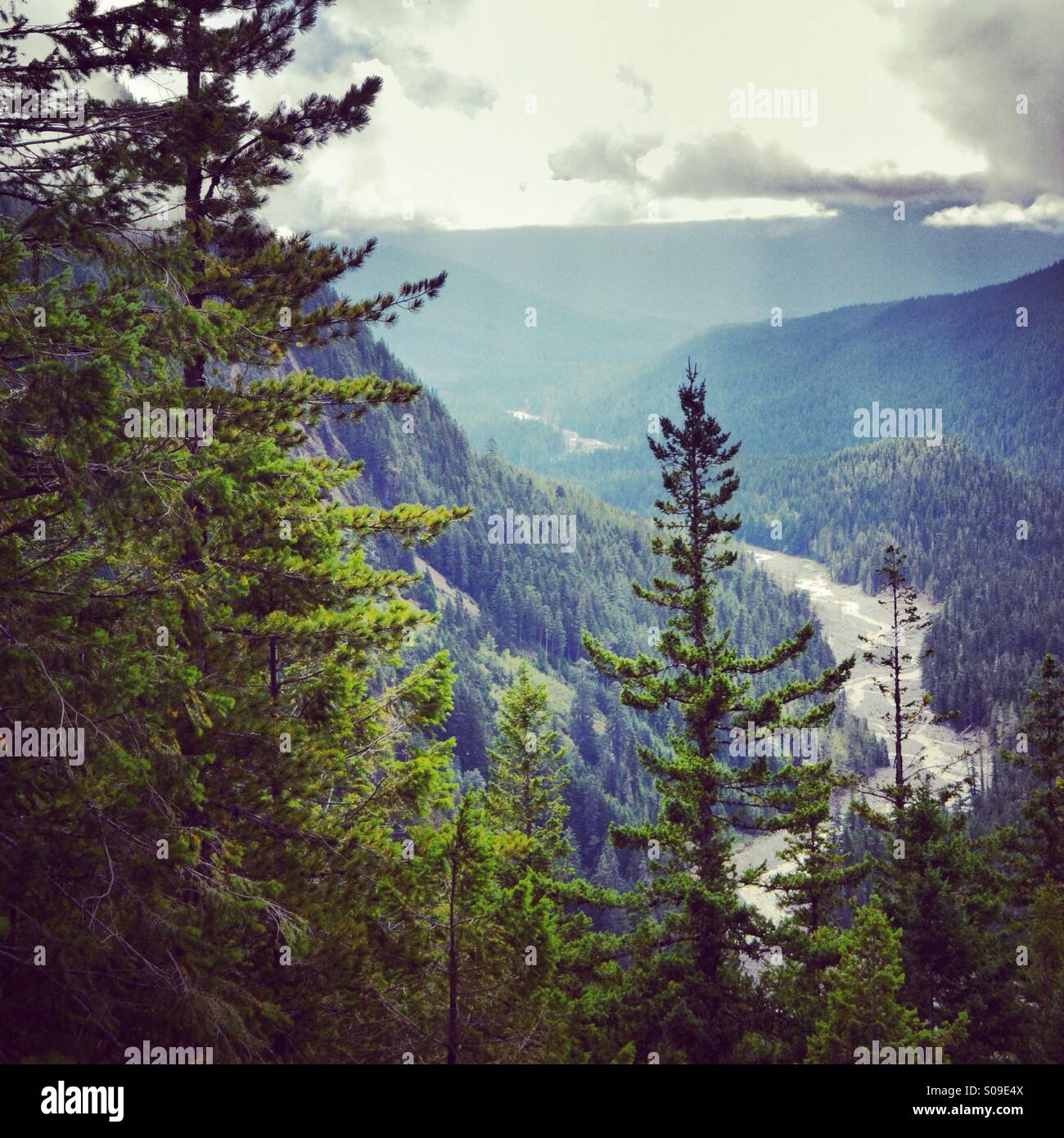 View of mt rainier hi-res stock photography and images - Alamy