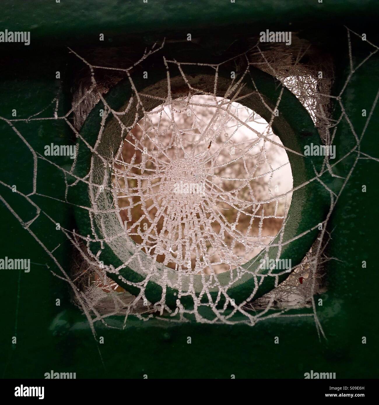 Frozen spiderweb hi-res stock photography and images - Alamy