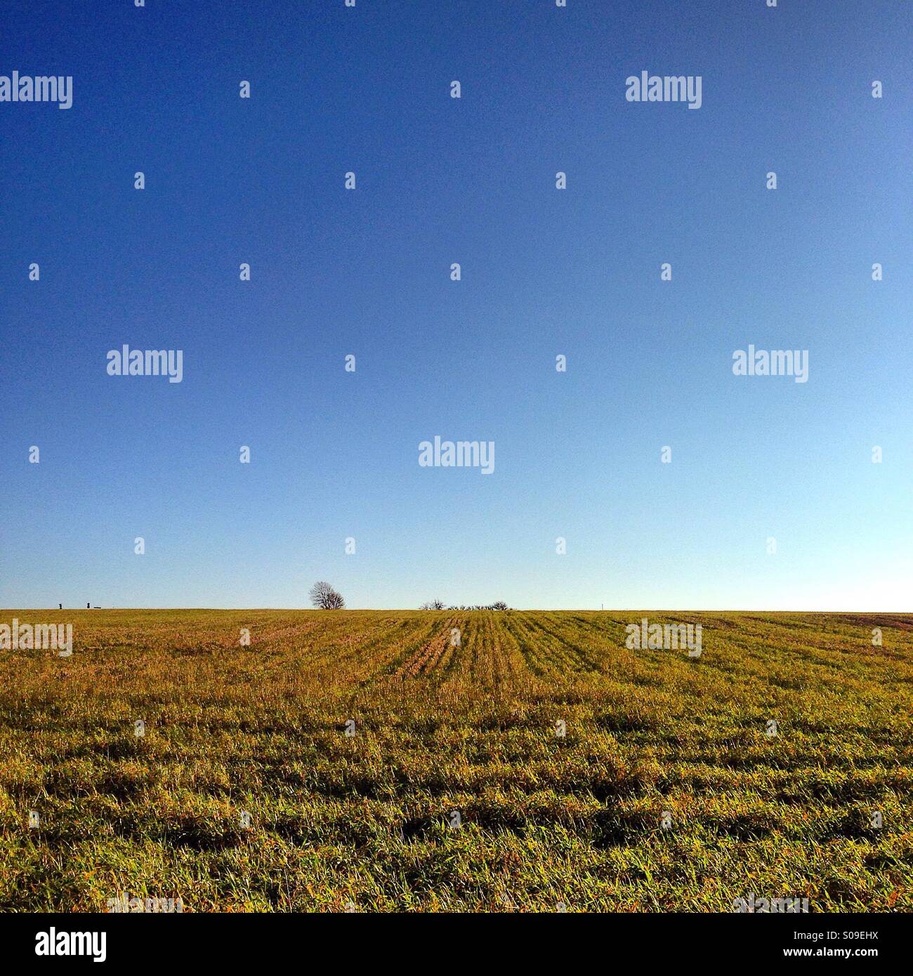 English countryside, blue sky and field Stock Photo - Alamy