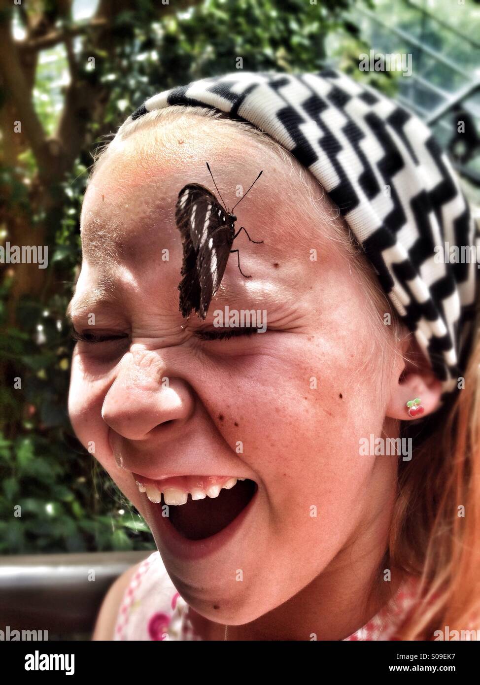 Seven year old girl reaction to a butterfly landing on her face Stock ...