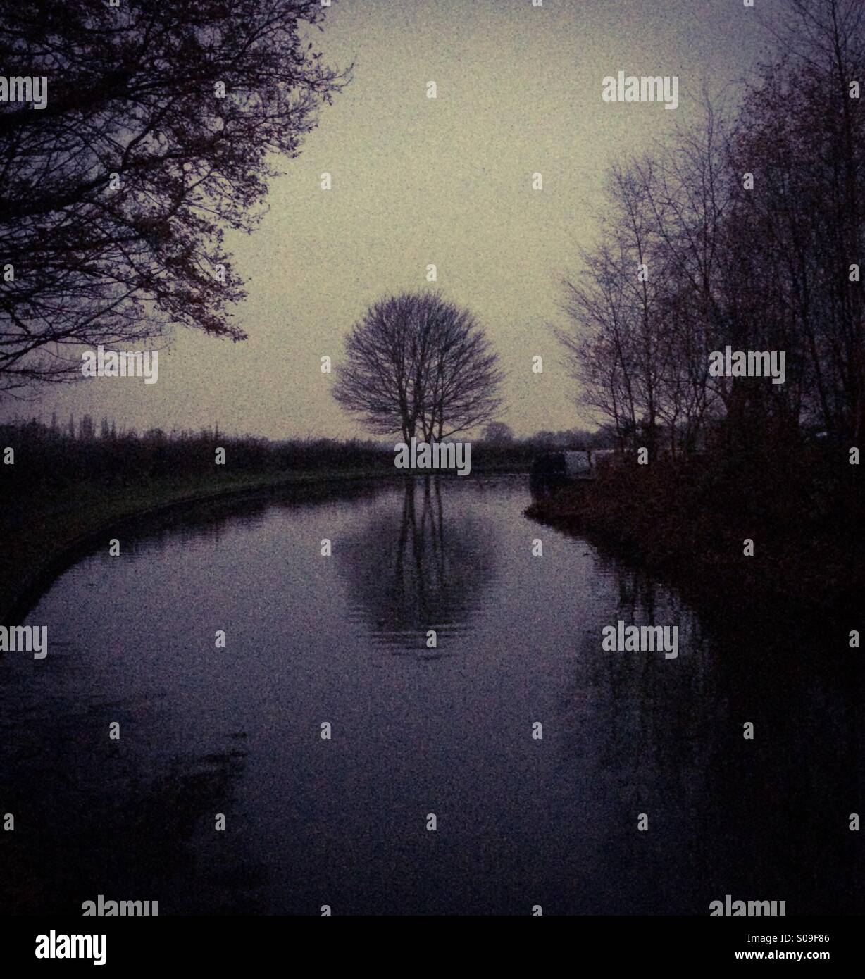 Is it a tree reflection hi-res stock photography and images - Alamy