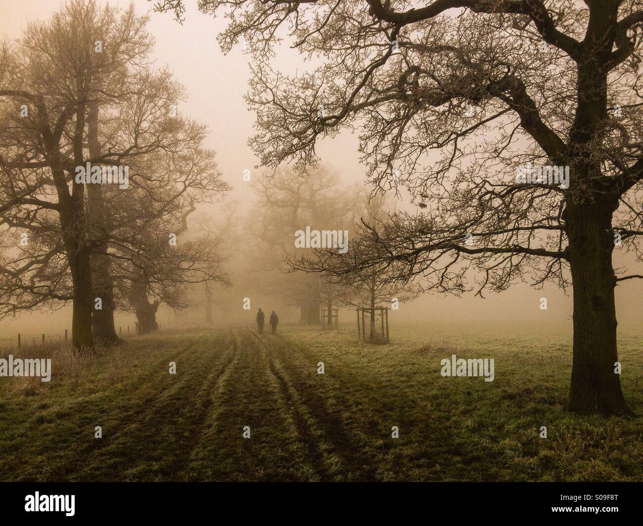 A winter walk, England. UK Stock Photo - Alamy