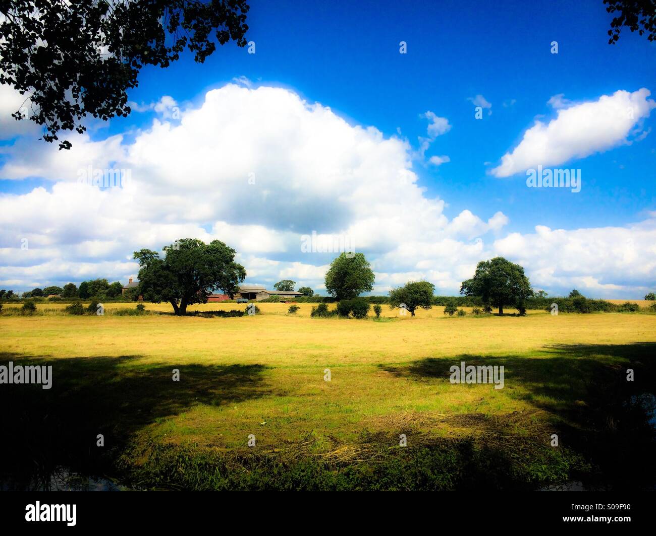 Day dream hi-res stock photography and images - Alamy