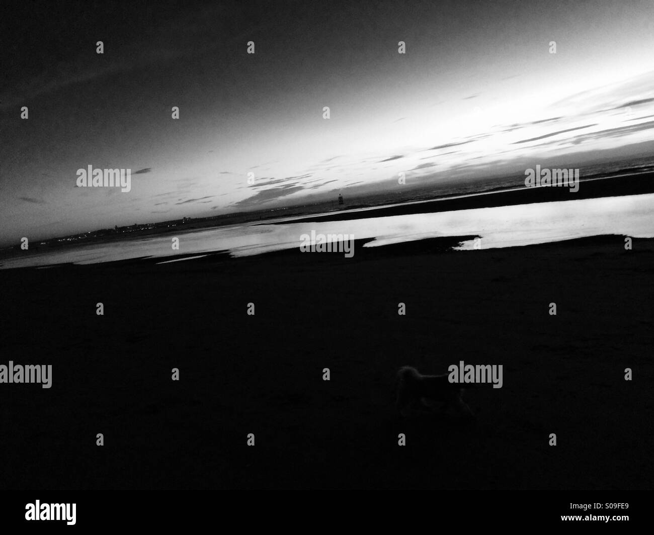 Cold on the beach Black and White Stock Photos & Images - Alamy