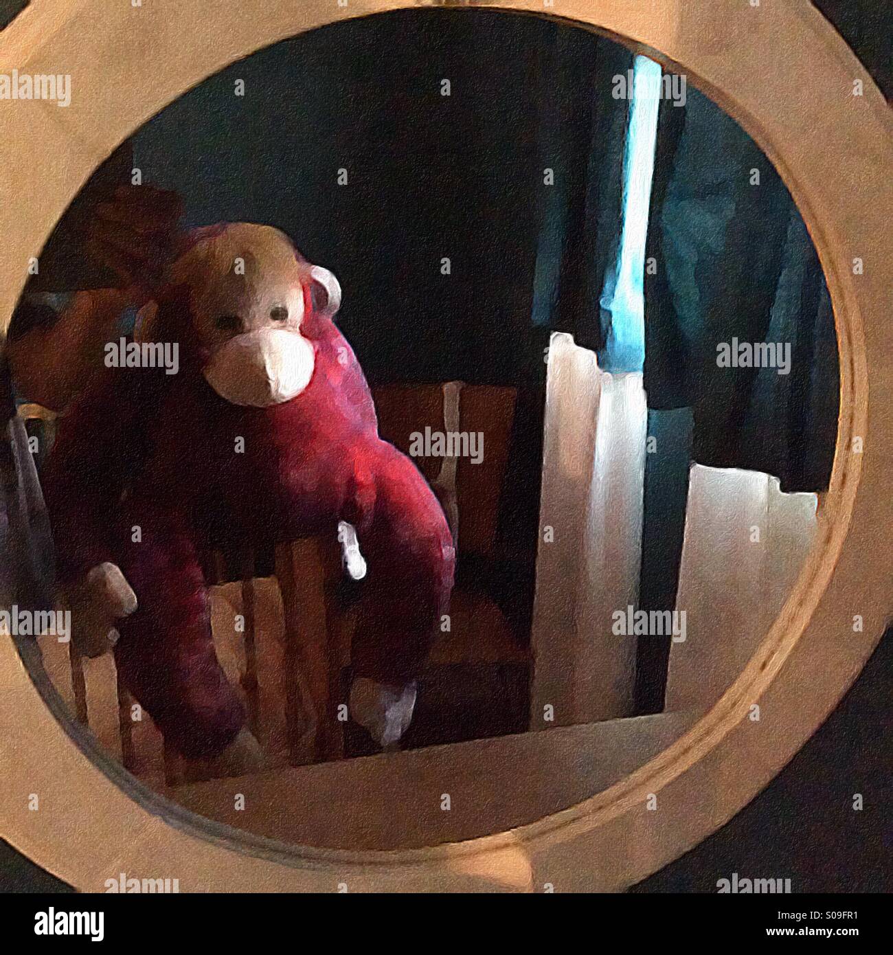 Monkey mirror hi-res stock photography and images - Alamy