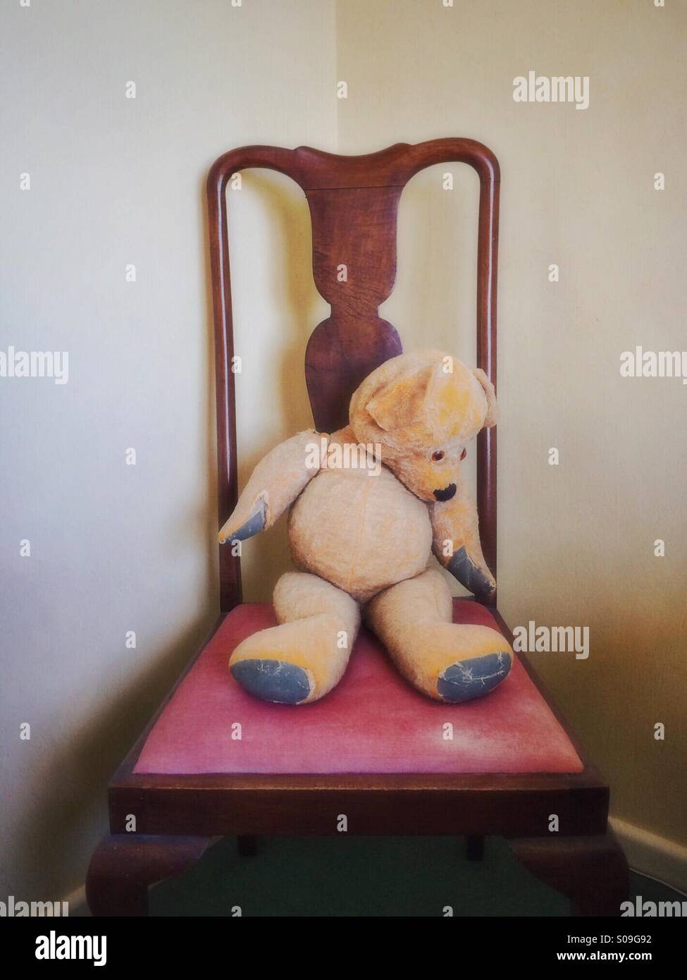 Teddy bear sat hi-res stock photography and images - Alamy