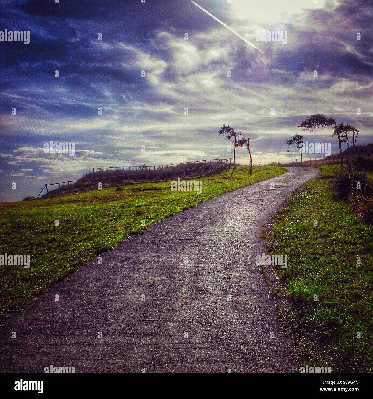 Rute hi-res stock photography and images - Alamy