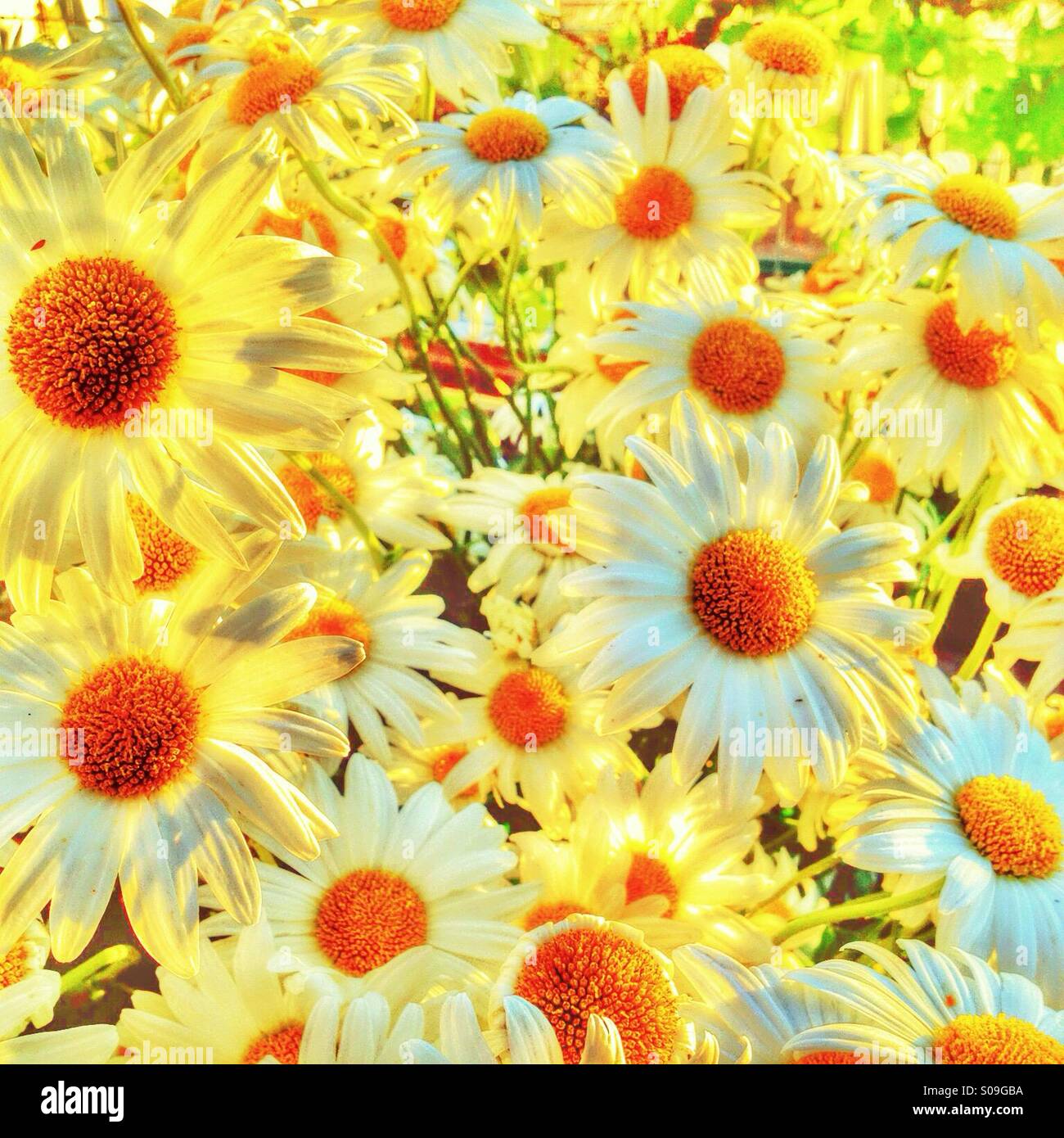 Color power plant hi-res stock photography and images - Alamy