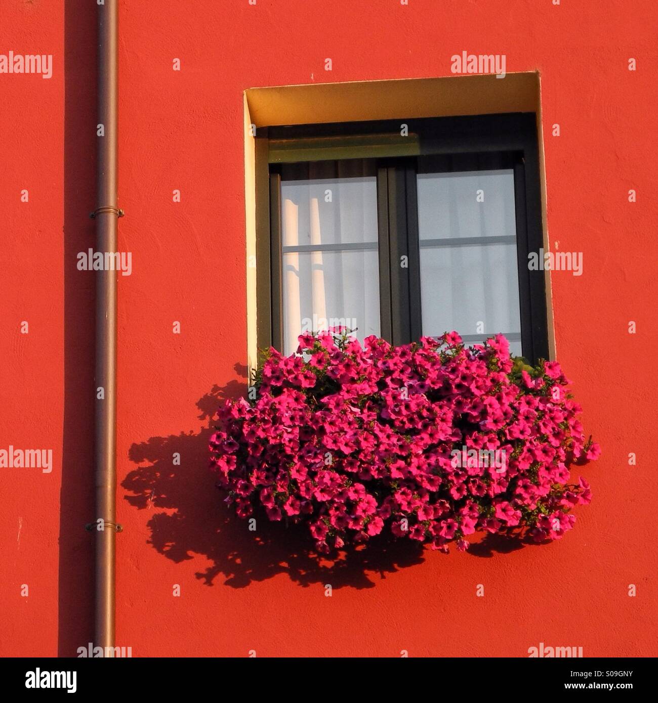 Color color rojo hi-res stock photography and images - Alamy