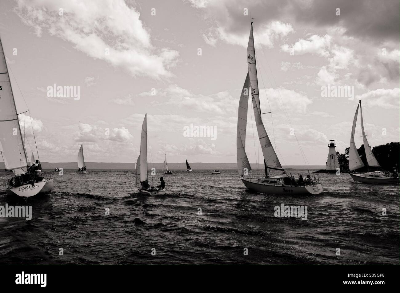 Sail boats racing in regatta in Baddeck, Nova Scotia Stock Photo - Alamy