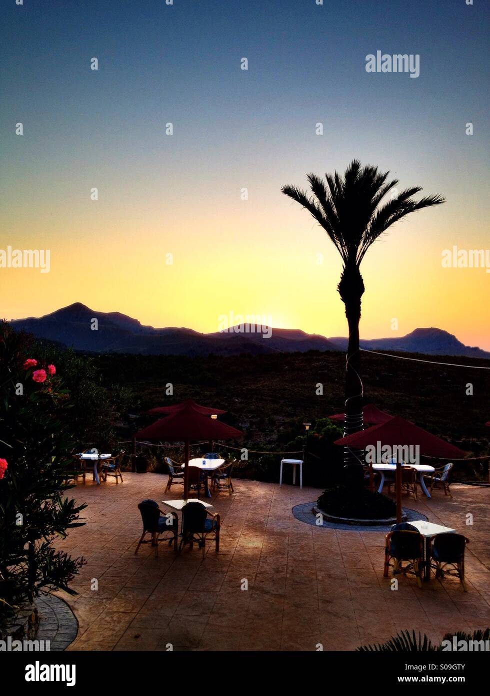 Palmera mallorca hi-res stock photography and images - Alamy